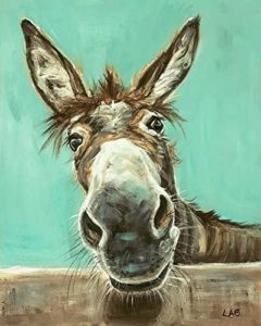 Povestea unui măgar - Chilia "Buna-Vestire"