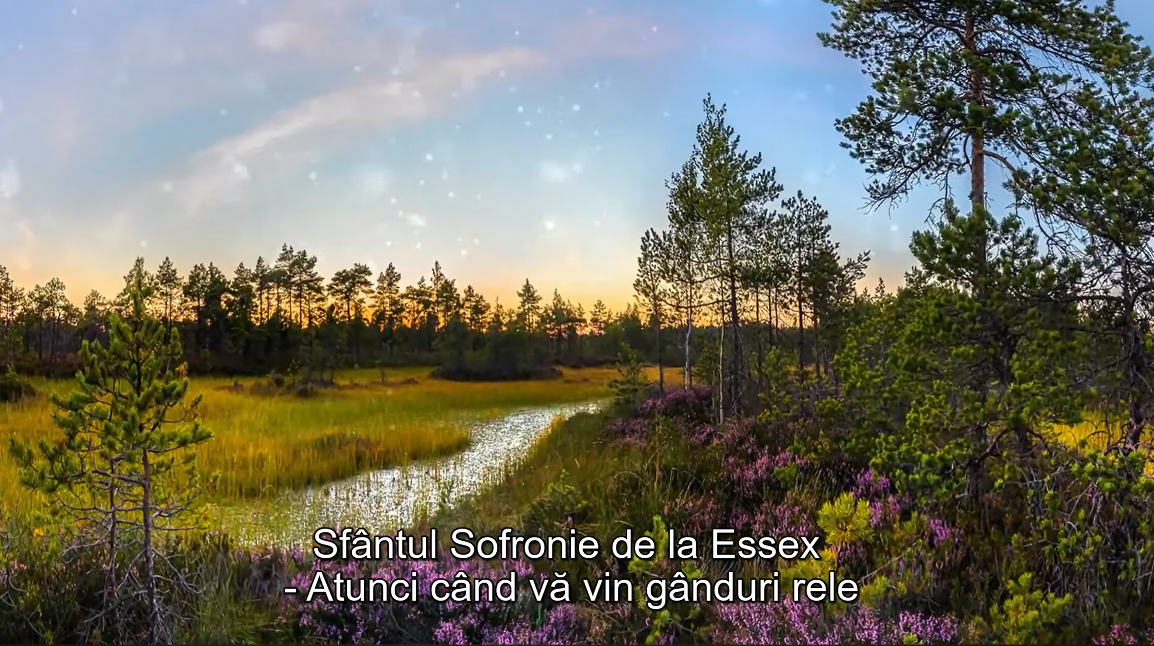 Cuviosul Sofronie Saharov – Atunci când ne vin gânduri rele - Chilia ...