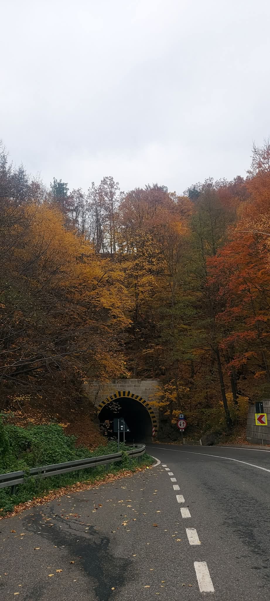 Să ne gândim ce au făcut Sfinții când au fost zdrobiți de bolgiile răului
